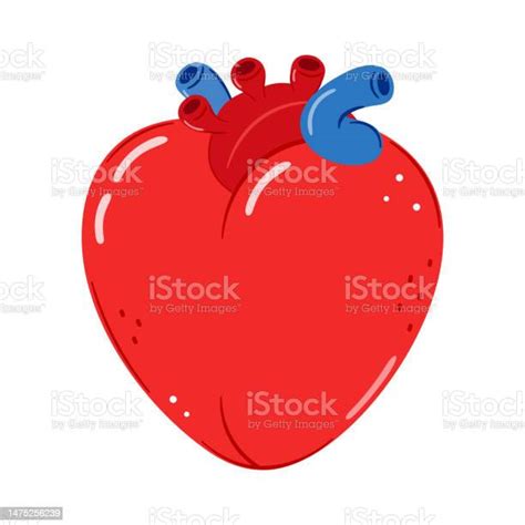 귀여운 재미 있는 심장 기관 아이콘입니다 벡터 손으로 그린 만화 Kawaii 캐릭터 그림 아이콘입니다 흰색 배경에 격리 심장 기관 개념 개념에 대한 스톡 벡터 아트 및 기타