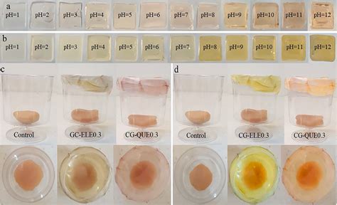 Figure 1 From Colorimetric Ph Sensitive Hydrogel Film Based On Kappa Carrageenan Containing