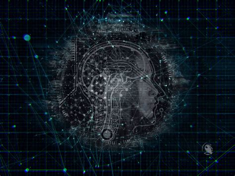 Il Sistema Cognitivo Marco Calzoli Ereticamente