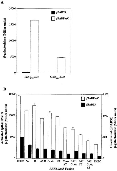 A Expression Of The Lee1 Epec Lacz And Lee1 Ehec Lacz Fusion Download High Resolution