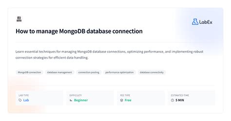 How To Manage Mongodb Database Connection Labex
