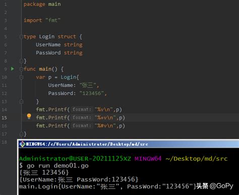 Go语言编程从入门到精通，json编码、json解码go Json解码 Csdn博客