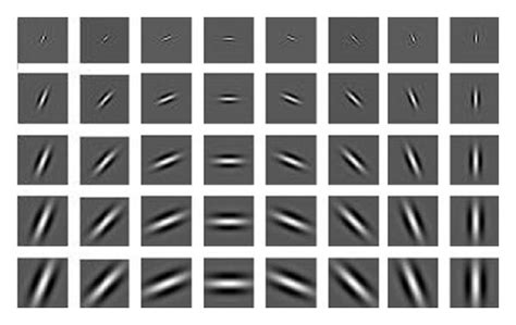 Gabor Wavelets Filter Bank Which Has Been Used For The Active Basis Model Download Scientific