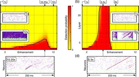 Nonlinear Dendritic Interactions Enable Guided Propagation Of Synchrony