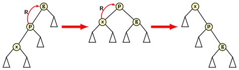 Splay Trees Learning Data Structures And Programming
