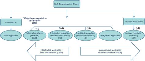 Illustration Of The Self Determination Theory Adapted From Deci And Download Scientific Diagram