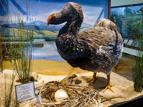 Weather Centane Eastern Cape South Africa