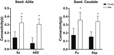 Sex Differences In Cognitive Flexibility And Resting Brain Networks In Middle Aged Marmosets