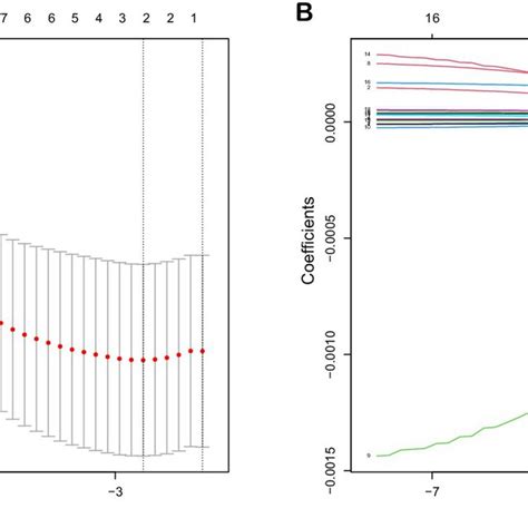 Lasso Regression Model In The Tcga Training Cohort A Selection Of