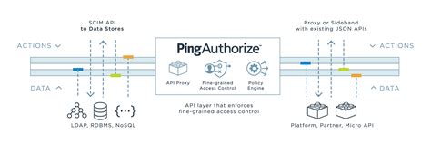 Diagram Illustrating Pingauthorize And The Api Layer That Enforces Fine Grained Access Control