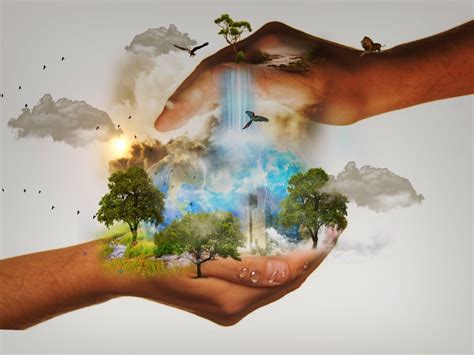 Medio Ambiente Creative Commons