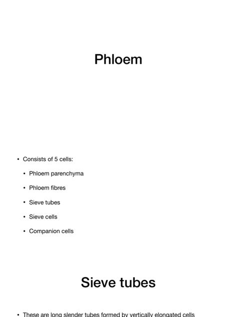 Tissue Class 9 Pdf Epithelium Muscle
