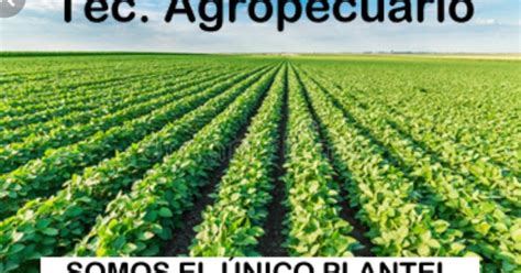 Carrera De Bachillerato Tecnico Profesional En Desarrollo Agropecuario Bachillerato Tecnico