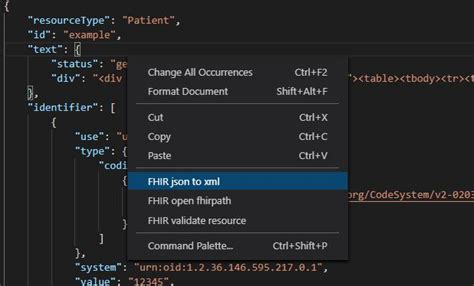 Github Laggeryvscode Fhir Tools