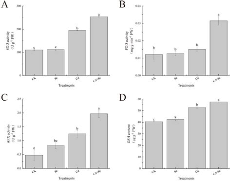 Exogenous Selenium Enhances Cadmium Stress Tolerance By Improving