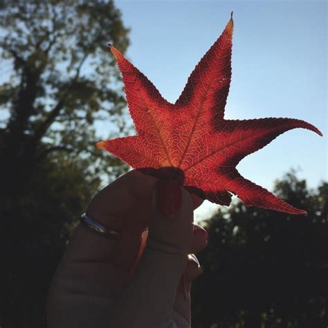 Premium Photo Low Angle View Of Red Object