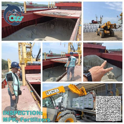 Ciss Group On Linkedin Inspection Survey Import Export Insurance