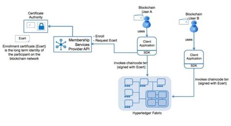 pros and cons of hyperledger fabric for blockchain networks
