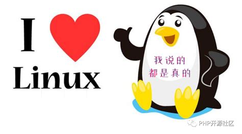 linux sleeping进程多 掌握了这几个linux命令可以让你工作效率提高一倍 csdn博客