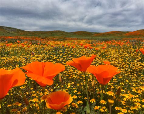 94 Best Antelope Valley Images On Pholder Earth Porn Los Angeles And