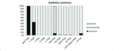 Antibiotic Resistance Profile Of Acinetobacter Strains Based On Download Scientific Diagram