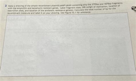 2 Make A Drawing Of The Simple Recombinant Plasmid