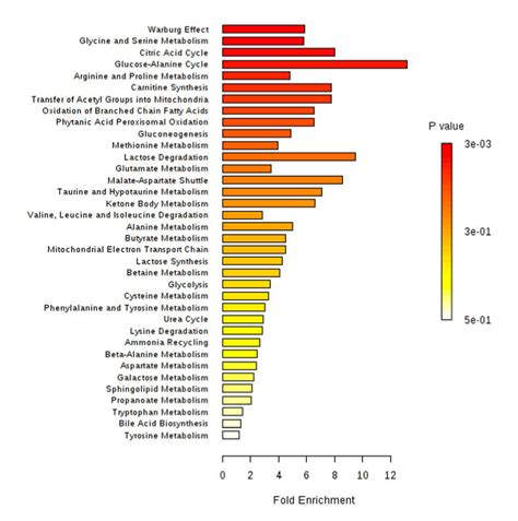 Metabolite Set Enrichment Analysis Performed On 1 H Nmr Metabonomic Download Scientific Diagram
