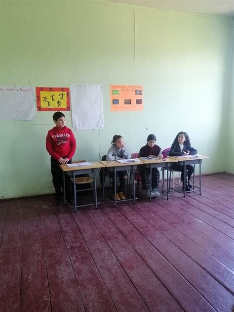 ხორშის საჯარო სკოლის მე 5 კლასის მოსწავლეთა მრავალფეროვანი აქტივობებით