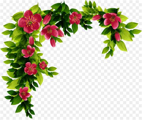 Vines And Flowers Clipart At Mark Fletcher Blog