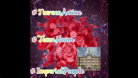 Sinju Thomas On Linkedin Ebmt Asfa