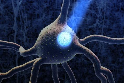 Optogenetics With Soul Mit News Massachusetts Institute Of Technology