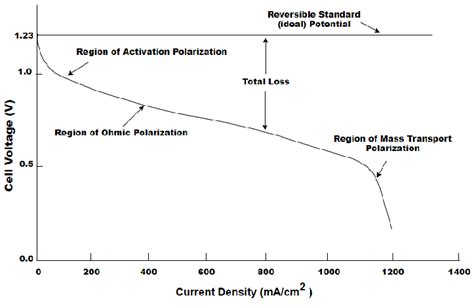 Current Density Voltage Polarization Curve 5 55 57 Download Scientific Diagram