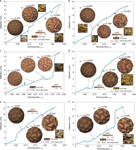 Bifurcation Diagrams Of Post Buckling Morphology Evolutions In