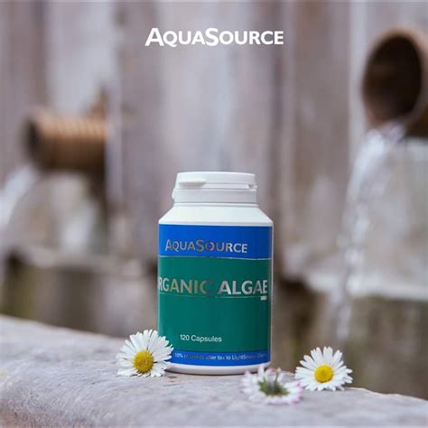 Тайната на природата Зимата е почти тук и времето става студено затова е хубаво да пазим себе