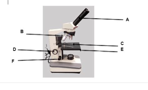 Parts Of A Microscope Quiz