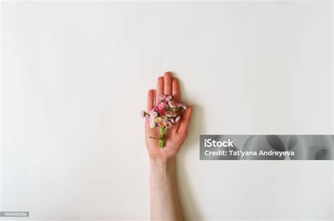 최소한의 스타일에서 여름 크리에이 티브 구성입니다 화이트와 핑크 3 월 개념에 대한 스톡 사진 및 기타 이미지 개념 건강한