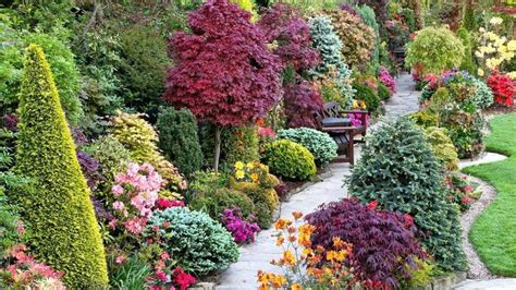 Декоративные растения для сада фото и названия Garden Landscape Design Plants