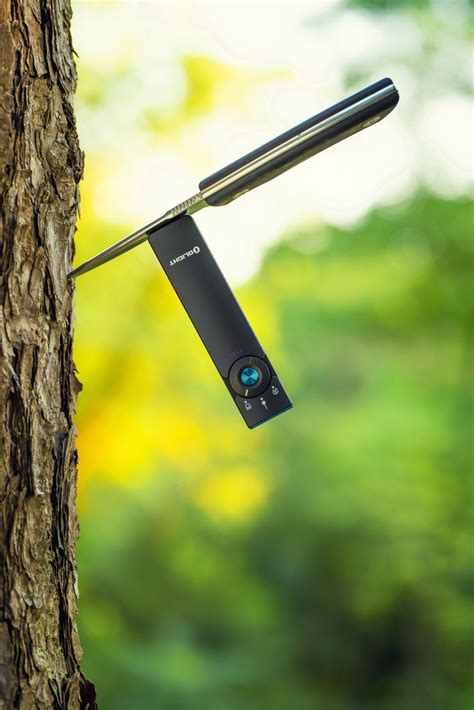 Can I Detect Uv Light To Detect Rodent Urine