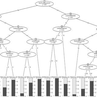 Decision Tree Model To Predict Farmers Decisions To Adopt Artificial Download Scientific