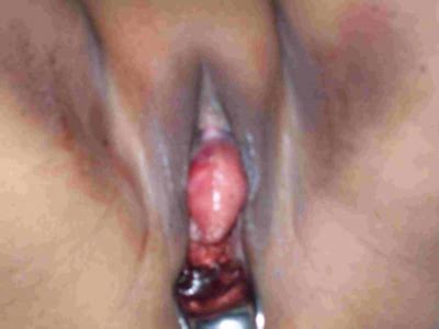 Internet Scientific Publications