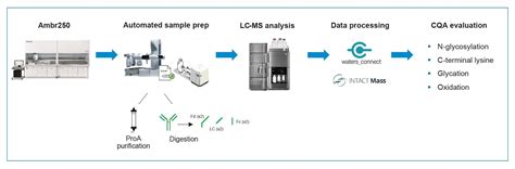 Similis Bio Streamlined Mab Subunit Lc Ms Workflow For Multiple