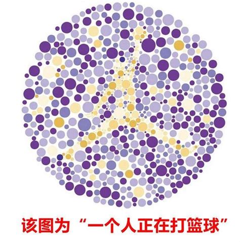 图考驾照色盲测试图图3中看不到打篮球的人那你是黄蓝色盲汽车资讯 好车网