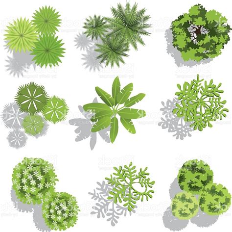 Architecture Tree Vector At Collection Of Architecture Tree Vector Free For