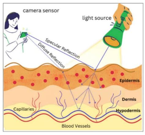 Integrating Remote Photoplethysmography And Machine Learning On Multimodal Dataset For