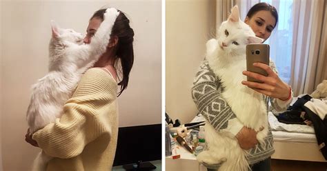 Kitty Grows Up Hugging His Human Every Day And Wont Stop No Matter How