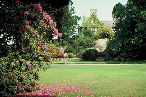 Perennial Rye Grass Water Requirements At Ana Means Blog Perennial Rye Grass Water Requirements At Ana Means Blog