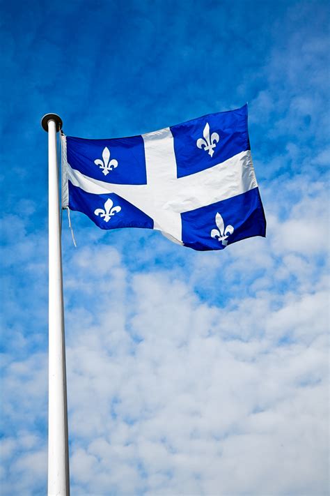 Free Photos Fleur De Lis 7 Images Fleur De Lis Photos Fleur De Lis