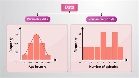 Video Data Types And Distribution