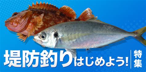 【2023年最新版】千葉県の管理釣り場（エリアトラウト）をまとめて紹介！手軽にマス釣りを楽しもう！ ニュース つりそく（釣場速報）