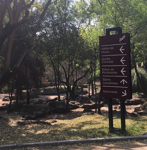 Prairie Lakes Journeys From A Two Spirited View Walking And Connecting With Chapeltepec In Cdmx